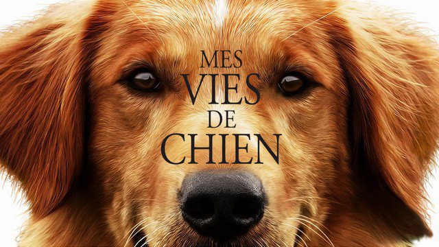 Bande-annonce en VF du film "MES VIES DE CHIEN" (2017)